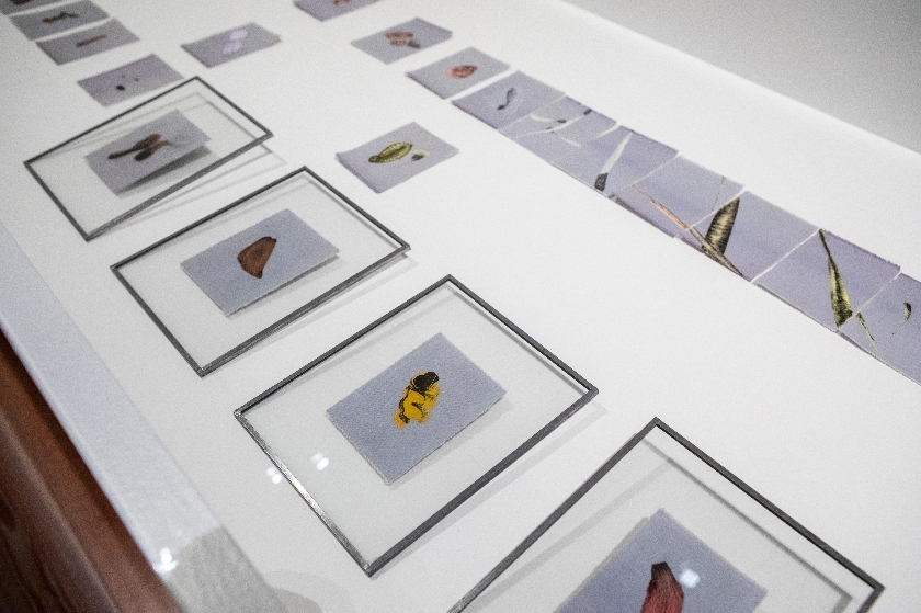 Temitayo Ogunbiyi. You will follow the Rhein and compose pla | Museum Tinguely Basel